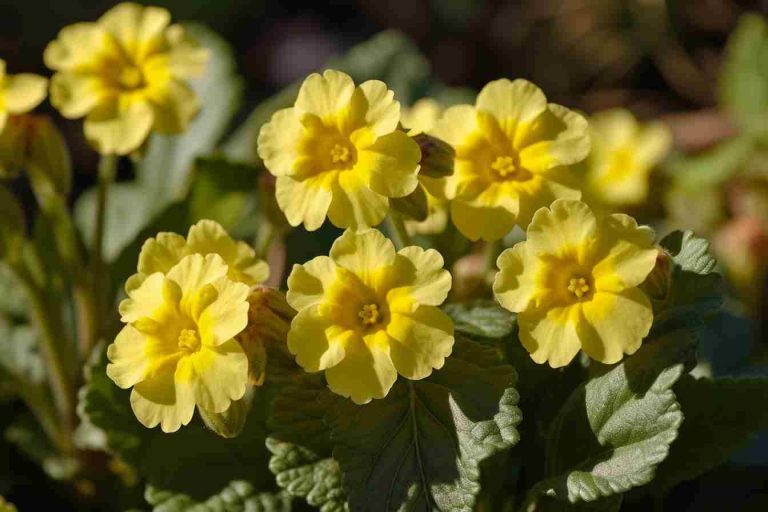 24 Flowers That Grow in Spring: Stunning Blooms to Brighten Your Garden ...