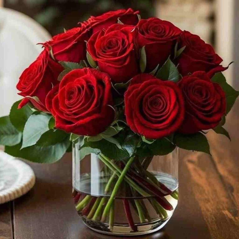 10 Flowers That Represent Admiration: Your Perfect Blooming Gift ...