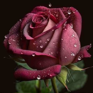 10 Flowers That Represent Spirituality: Divine Blooms - Foliage Friend ...