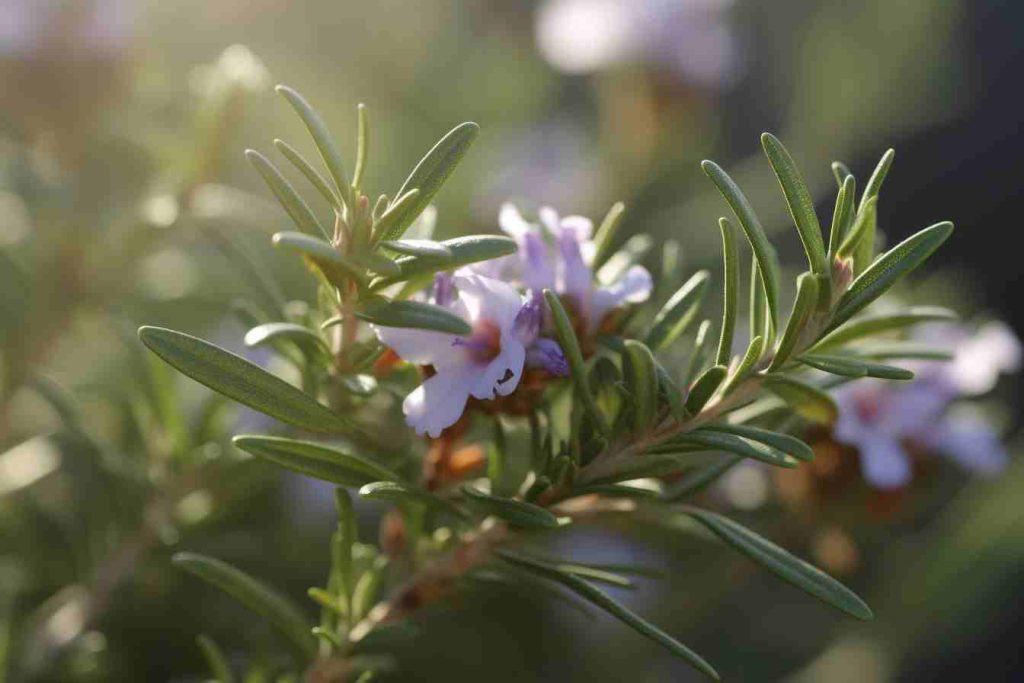 10 Flowers That Represent Longevity: Bloom For Years - Foliage Friend ...