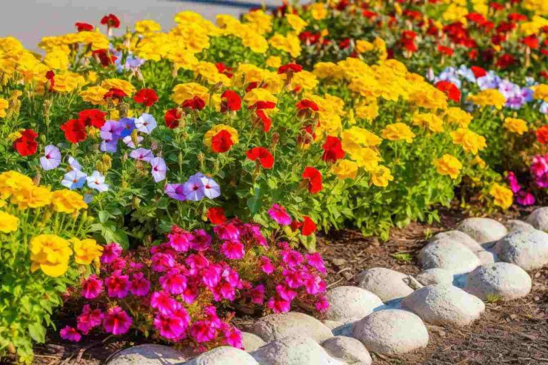 10 Flower Bed Ideas Around Patio That Will Take Outdoor Living to the ...