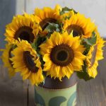 10 Flowers That Represent Hard Work: The Fruits Of Labor - Foliage ...