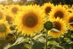 10 Flowers That Represent Appreciation: Blooms That Say Thank You ...