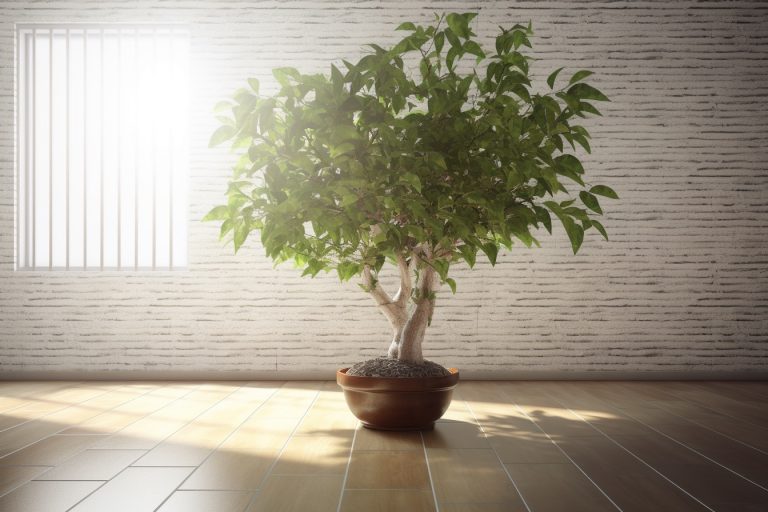 How to Trim a Large Outdoor Ficus Tree: Expert Tips - Foliage Friend ...