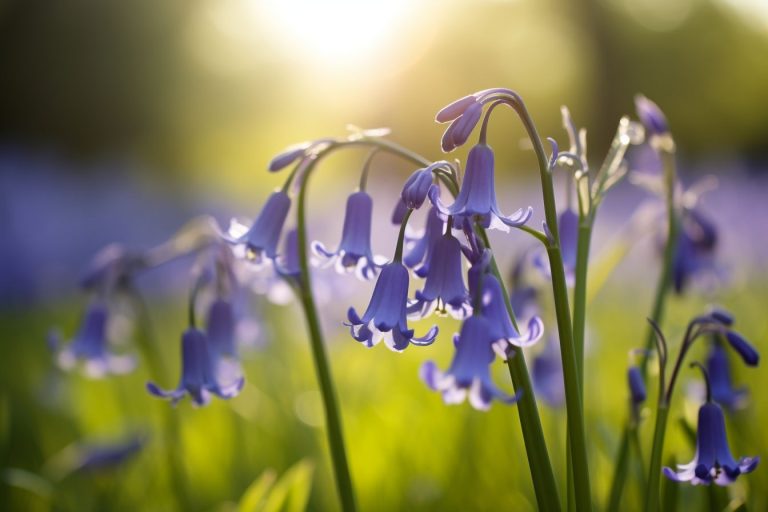 10 Flowers That Represent Siblings: Blooms Of Bond - Foliage Friend ...