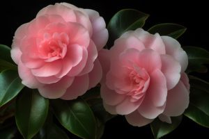 10 Flowers That Represent April: Celebrating Spring - Foliage Friend ...