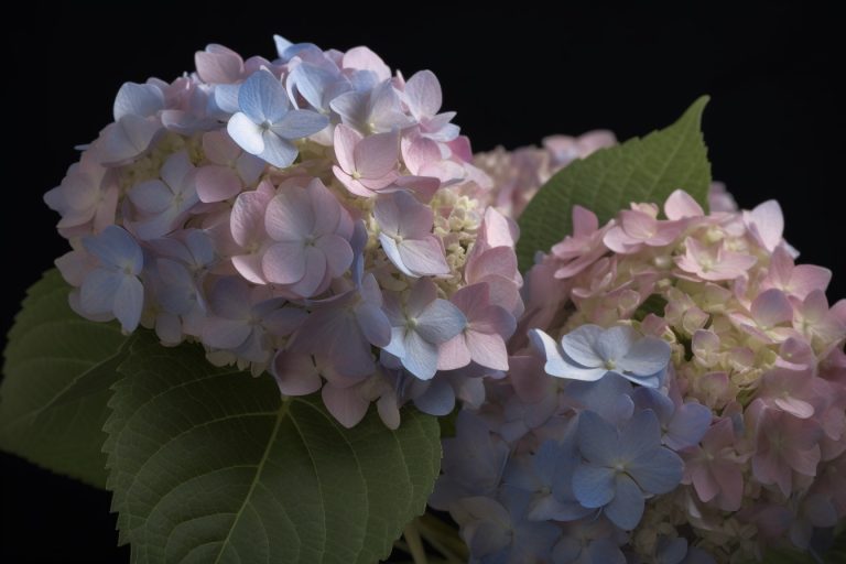 10 Flowers That Represent Elegance: Blooming With Grace - Foliage ...