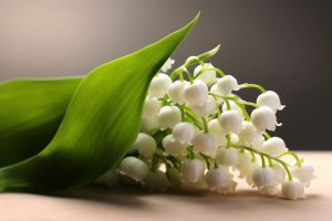 10 Flowers That Represent The Future: Blossoms Of Tomorrow - Foliage ...
