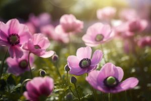 10 Flowers That Represent Passion: Set Your Heart On Fire - Foliage ...