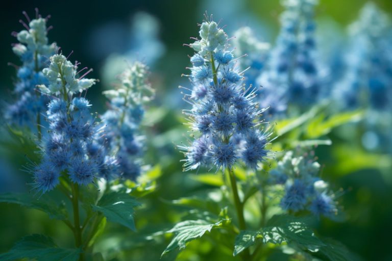 10 Flowers That Represent Fertility: Fertile Blooms - Foliage Friend ...