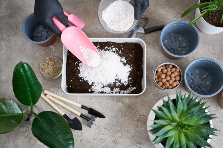 How to Propagate Philodendron Pink Princess: Expert Guide - Foliage ...