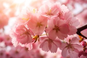 10 Flowers That Represent Hope: Uplifting Blooms - Foliage Friend ...