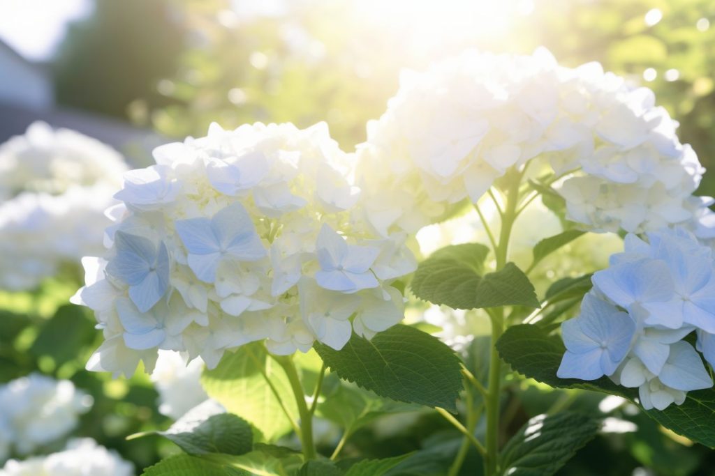 10 Flowers That Represent Friendship: Blooming Bonds - Foliage Friend ...