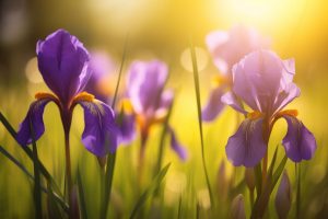 10 Flowers That Represent Strength And Healing: Floral Therapy ...