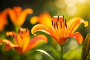 10 Flowers That Represent Power: Dominant Blooms - Foliage Friend ...